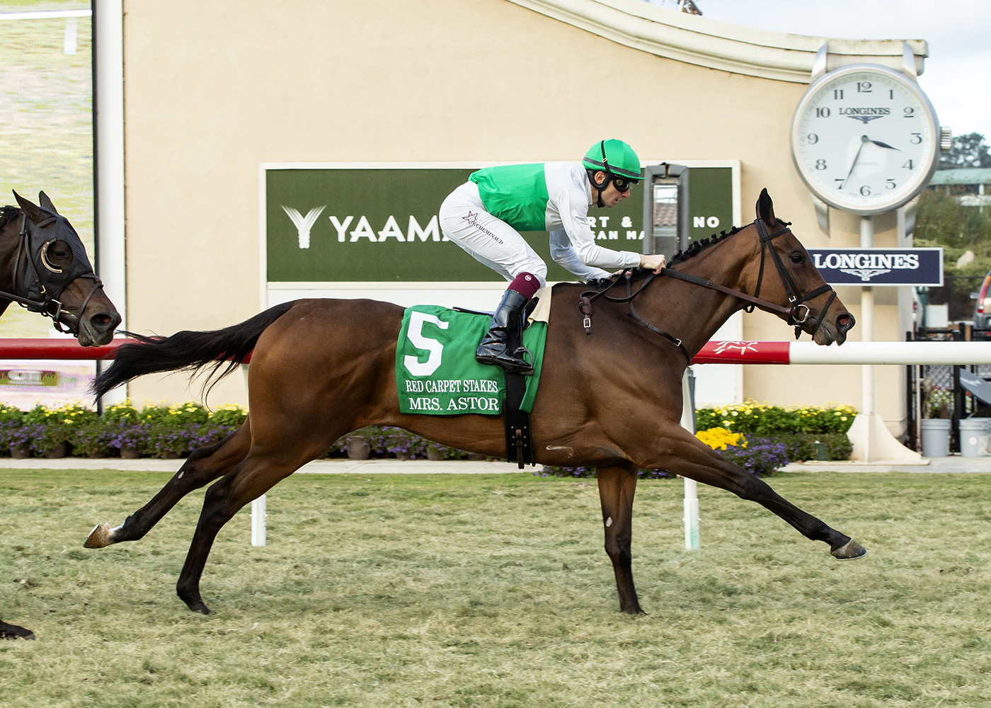 Long-Winded Fillies, Mares Featured at Del Mar Friday